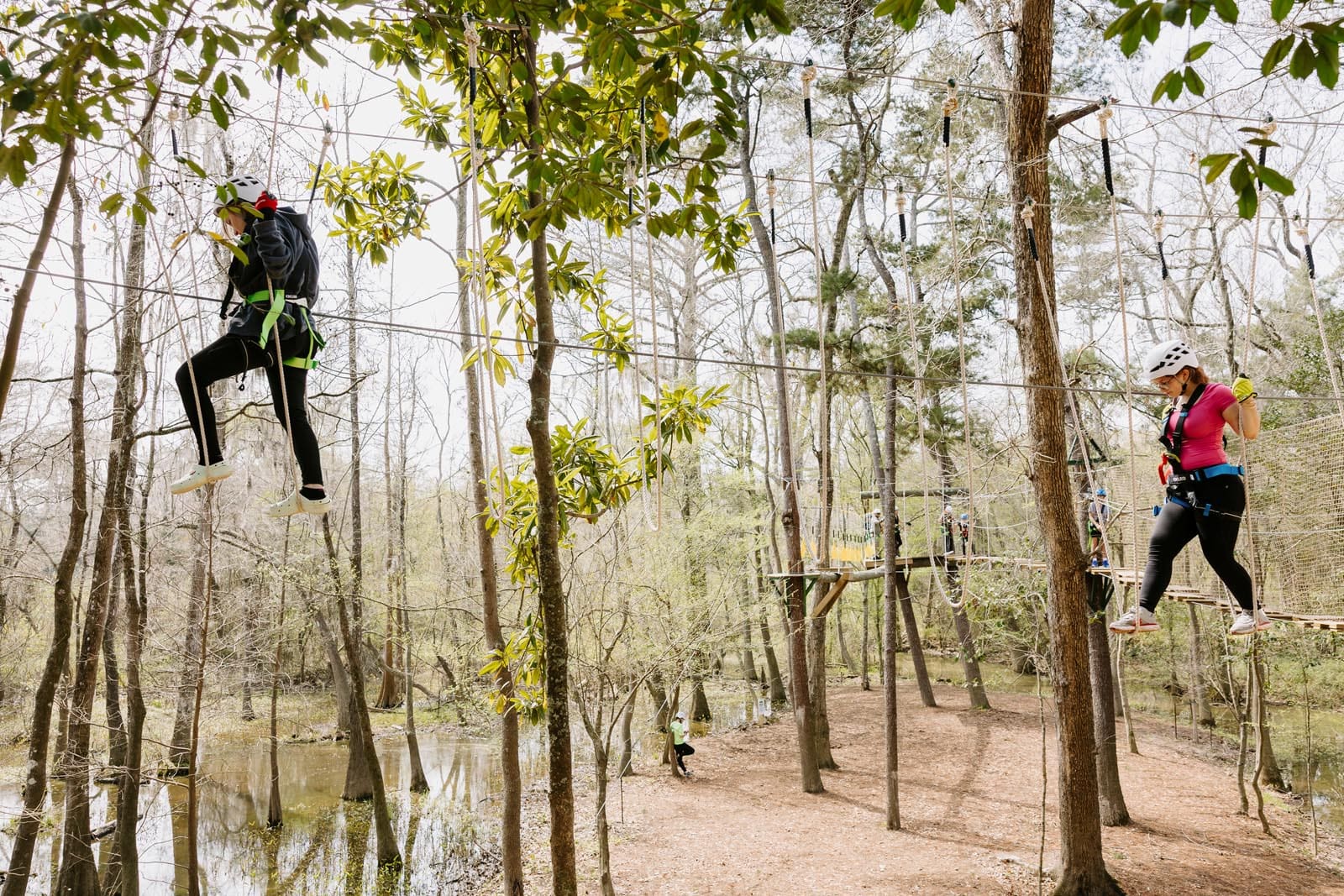 Gallery | TreeFrogs Adventure Park