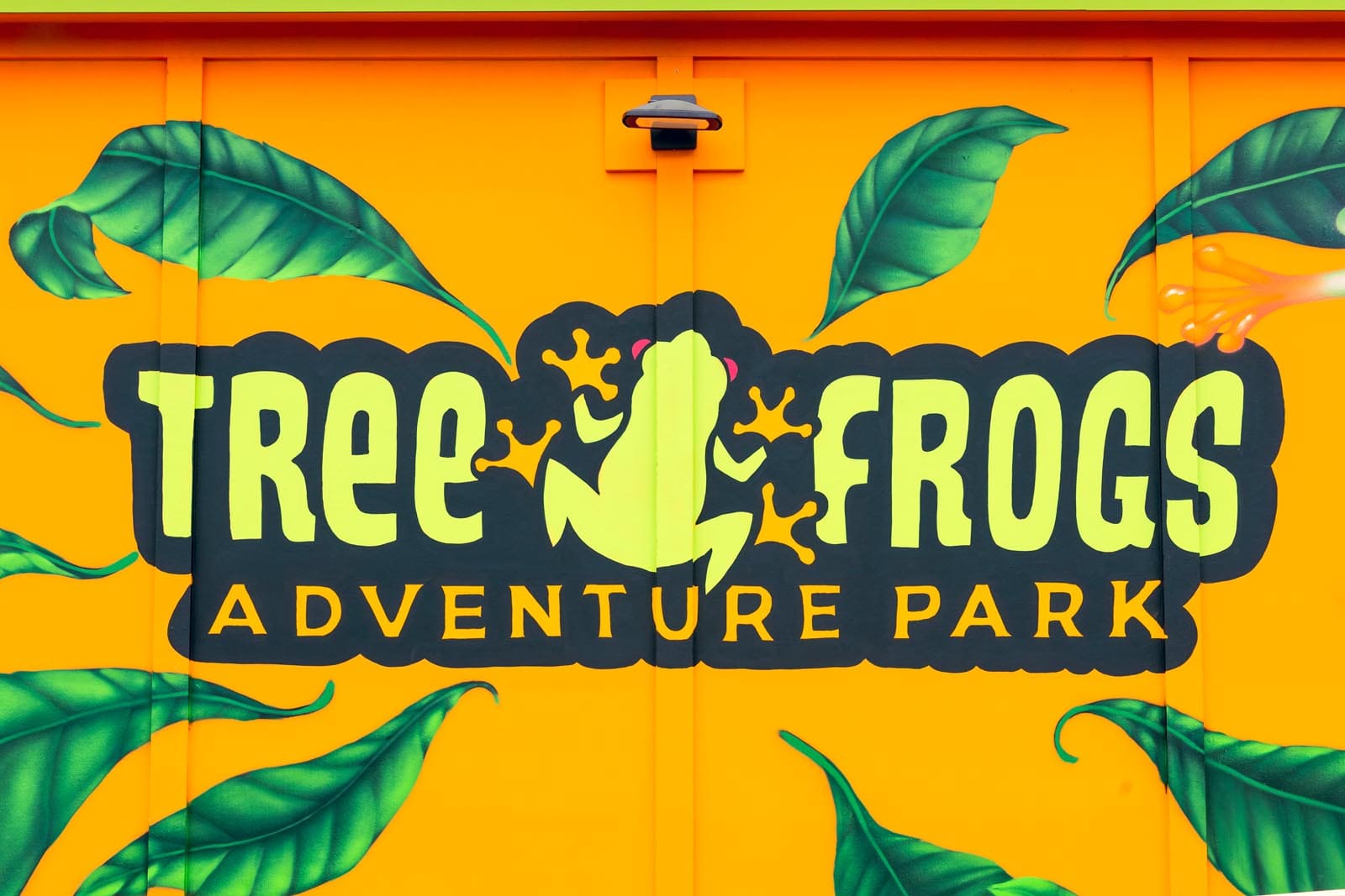 Gallery | TreeFrogs Adventure Park